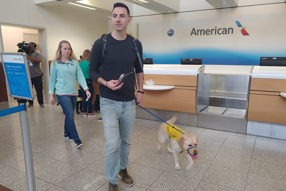 Guide dogs in training practice their skills at Atlanta airport ...