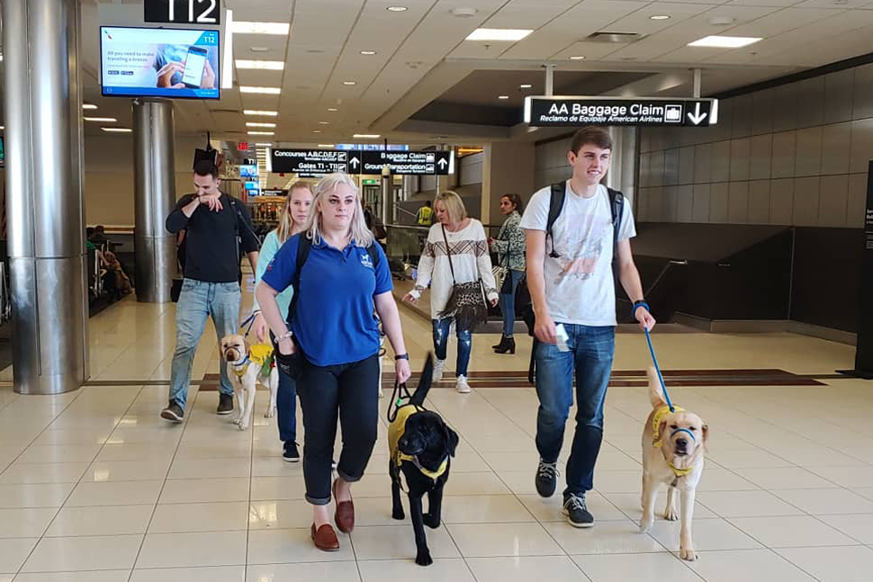 Guide dogs in training practice their skills at Atlanta airport ...